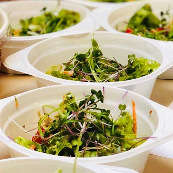 Hy-Farm – Intelligent hydroponic agriculture