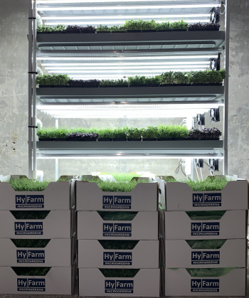 Hy-Farm – Intelligent hydroponic agriculture