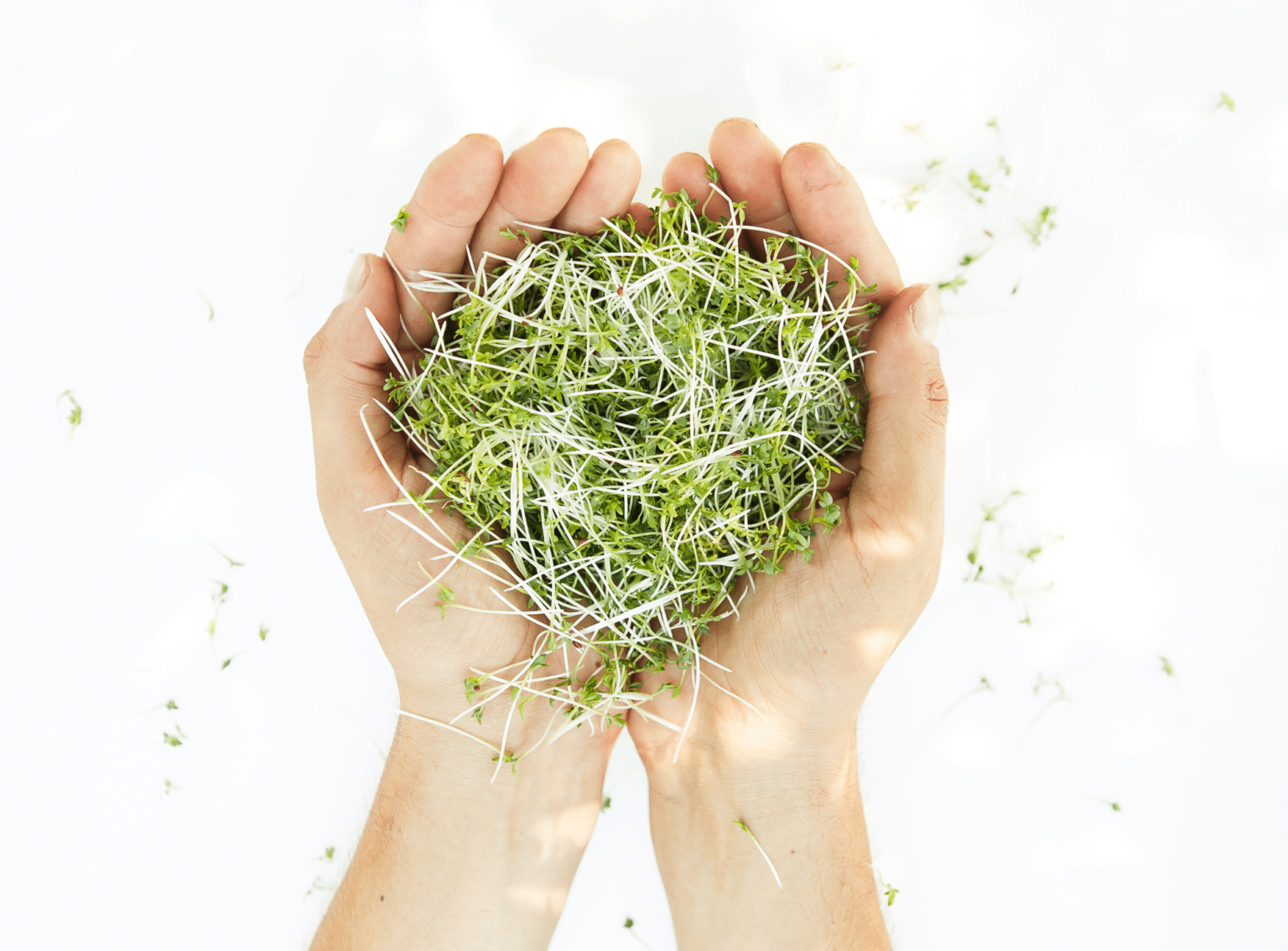 Home - Hy-Farm | Intelligent Hydroponic Agriculture