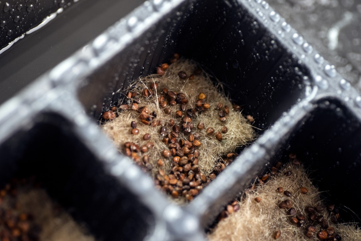 Home - Hy-Farm | Intelligent Hydroponic Agriculture