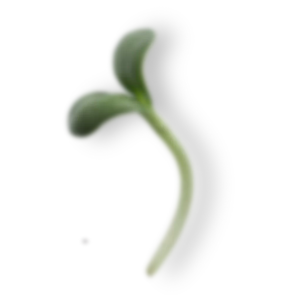 La historia de Hy-Farm - Hy-Farm | Intelligent Hydroponic Agriculture