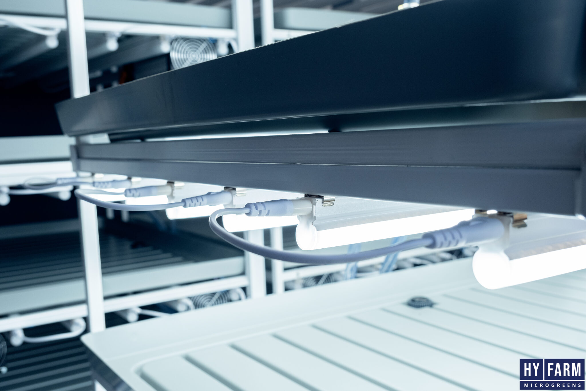 Microgreens in Bunkers - Hy-Farm | Intelligent Hydroponic Agriculture